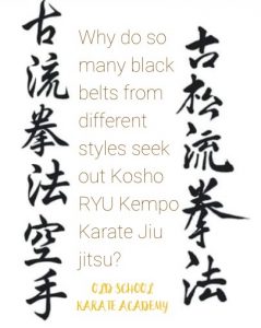 Why do so many black belts from different styles seek out Kosho RYU ...