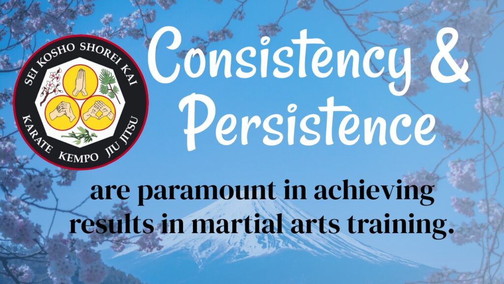 Consistency & Persistence are paramount in achieving results in martial ...
