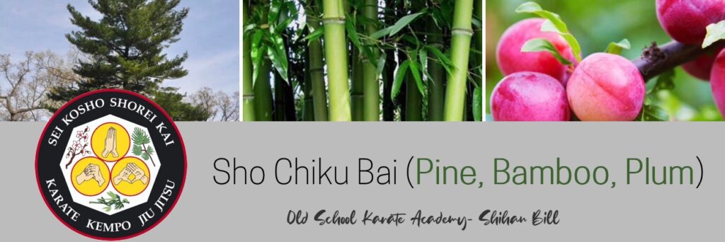 Sho Chiku Bai (Pine, Bamboo, Plum) BREAKDOWN